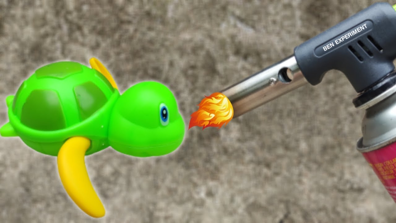 EXPERIMENT : GAS TORCH VS GREEN SEA TURTLE - YouTube