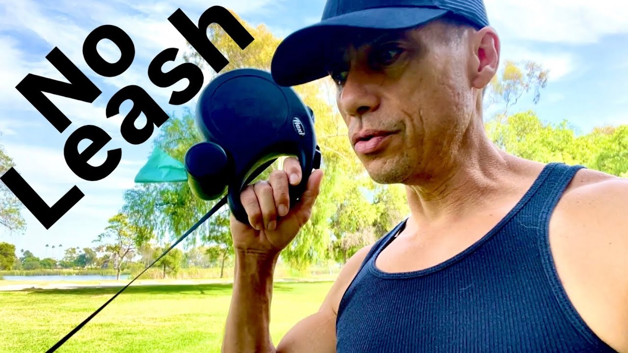 How To Use A Retractable Leash Like Having No Leash - YouTube