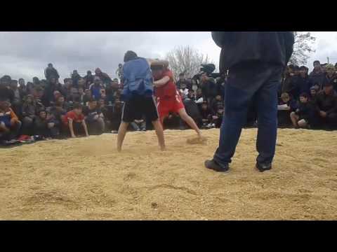 qabal gulesi semiran hesenov 2017