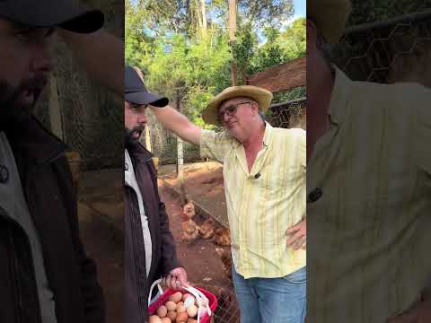 ELE NÃO LARGOU A MÃO DO PATRÃO QUANDO MAIS PRECISOU #novelas #telenov...