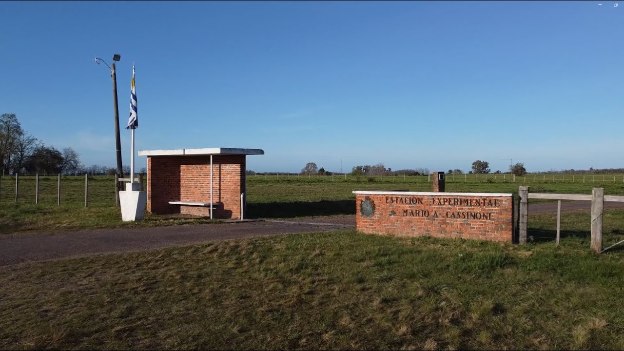 EEMAC 60 años - video institucional - YouTube