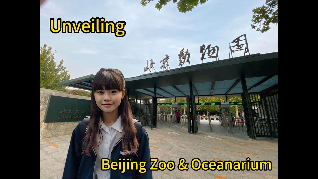 Unveiling Beijing Zoo and Beijing Oceanarium - YouTube