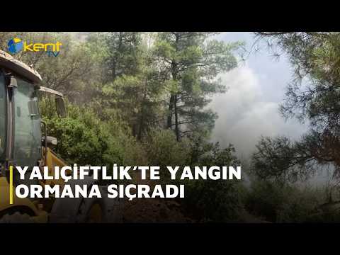 YALIÇİFTLİK’TE YANGIN ORMANA SIÇRADI