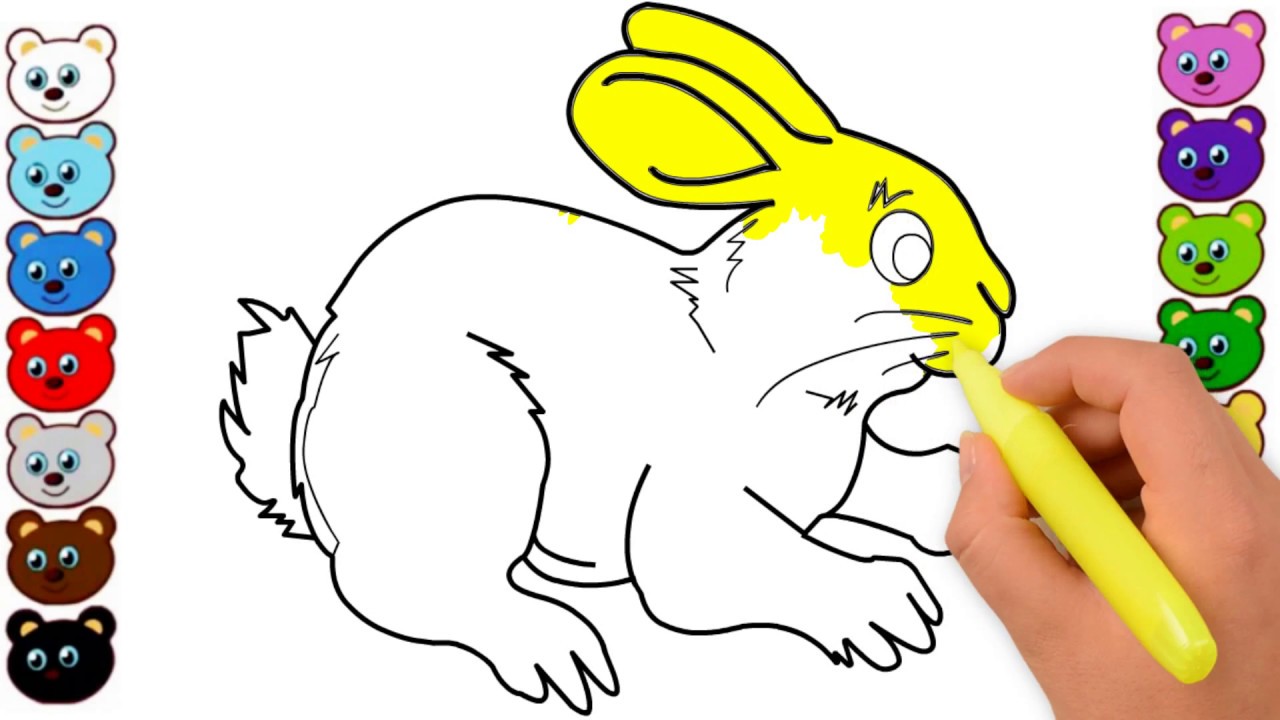 How to Draw and Color a Rabbit - YouTube