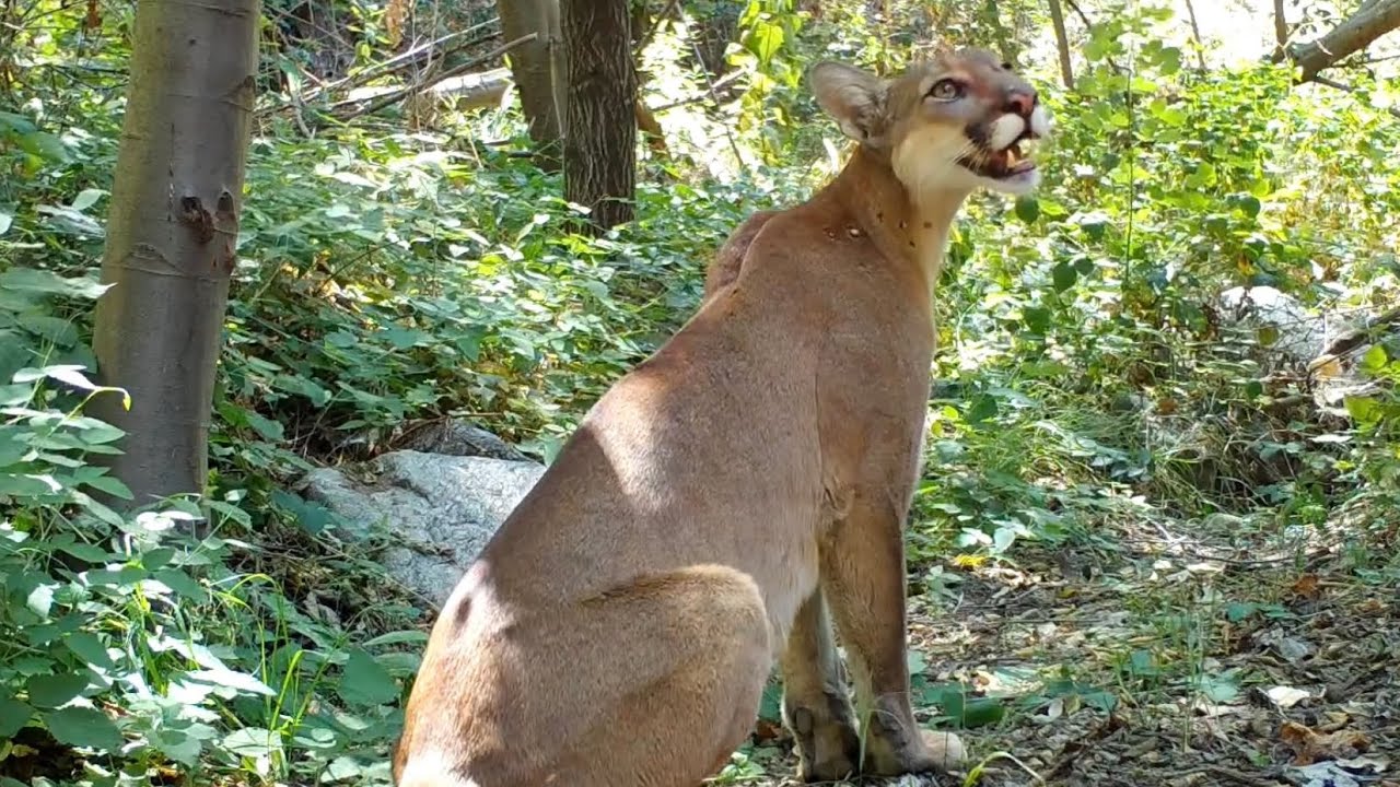 Where The Wild Ones Roam And The Place I Call My Second Home In The ...