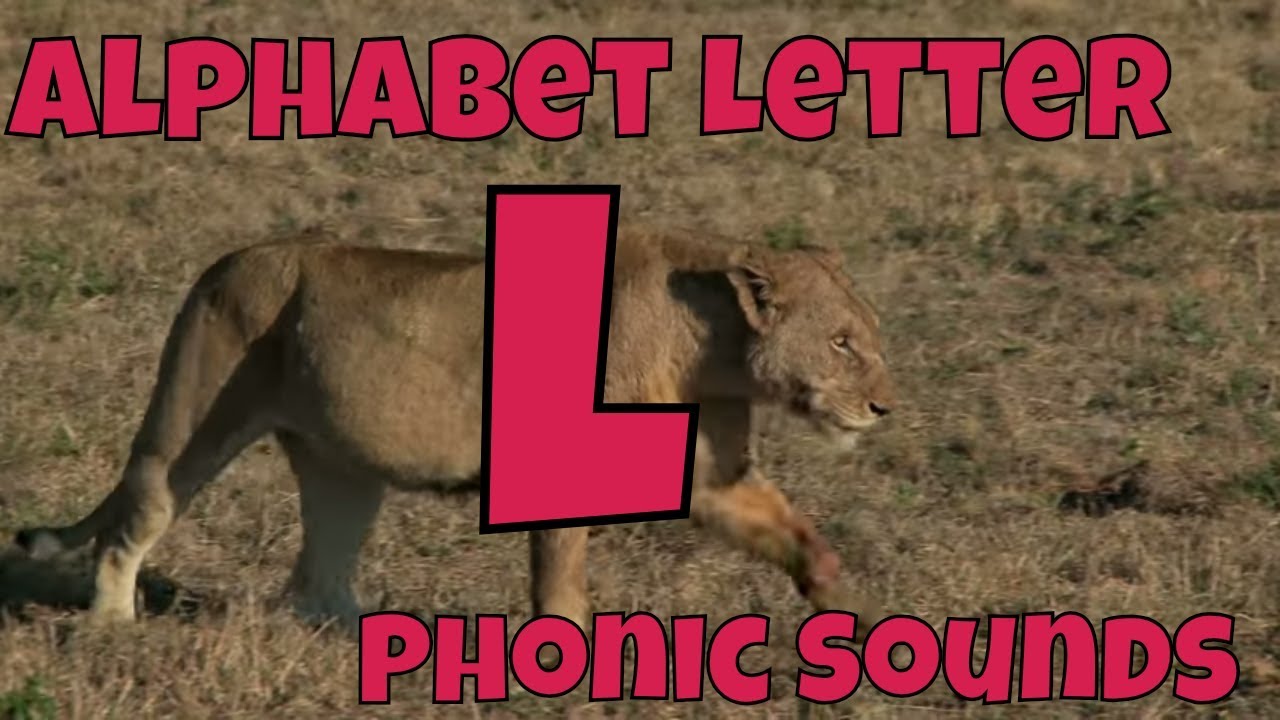 Alphabet Letter Phonic Sounds L - Easy Kids Songs - YouTube