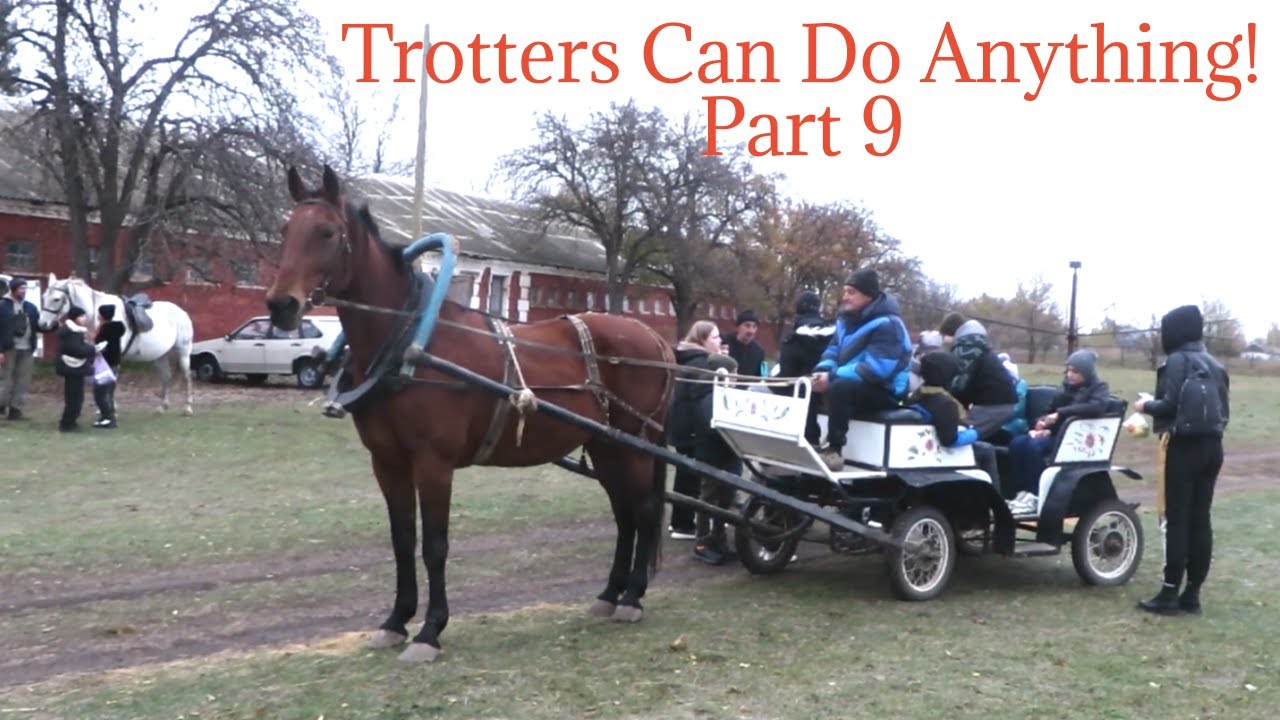 Trotters Can Do Anything! Part 9 - YouTube