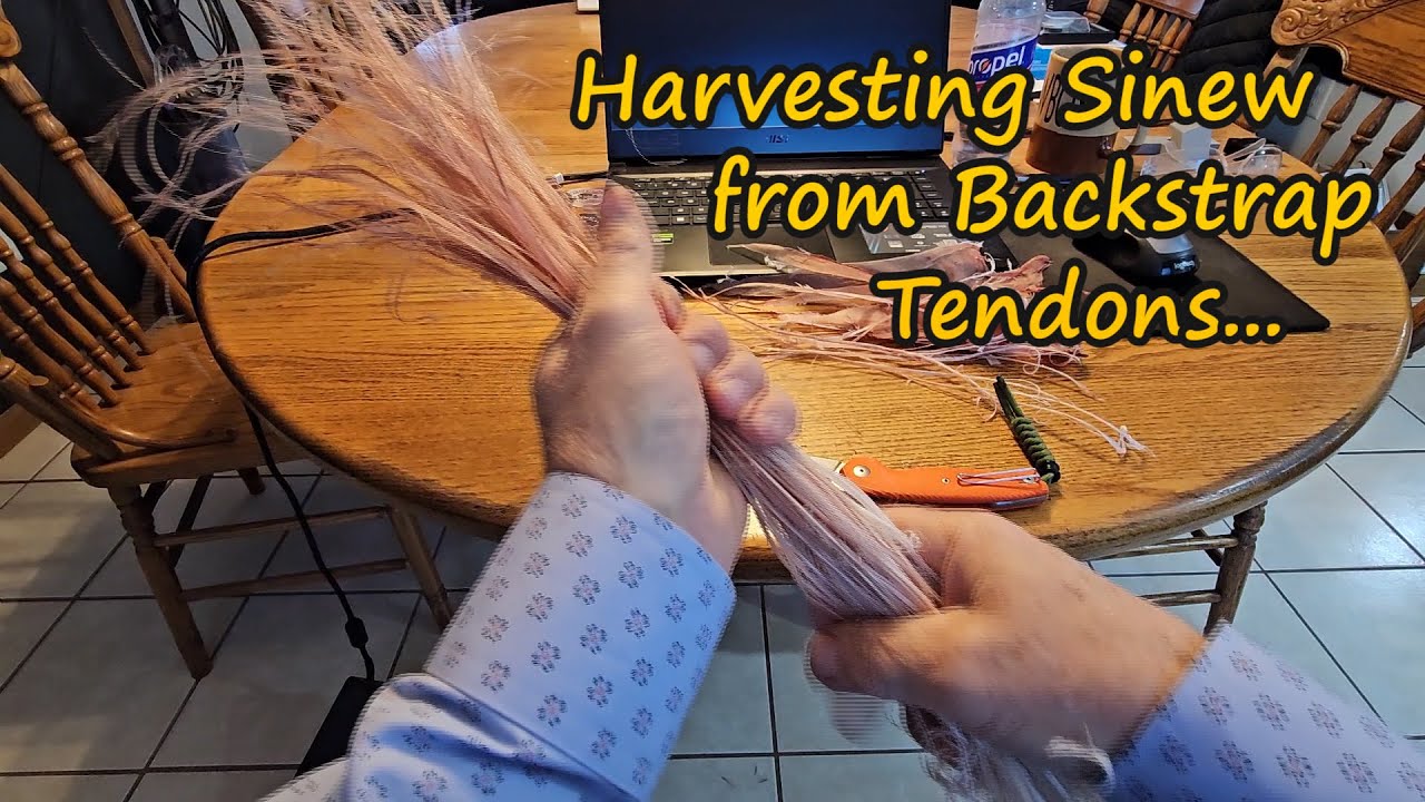Sinew Bowstring for Primitive Bow - YouTube