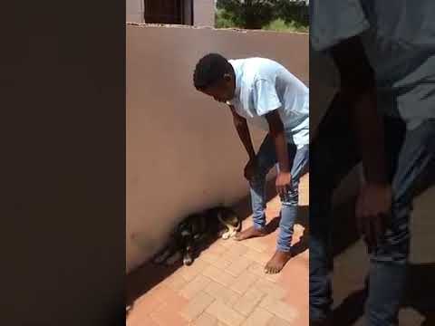 Dona bw "o ntša - YouTube