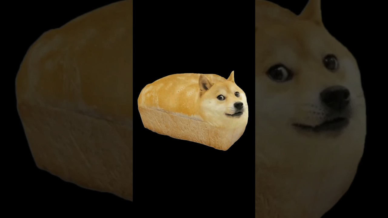 Yassified Doge bread meme @makerwulf #digitaldrawing #digitalart #doge ...