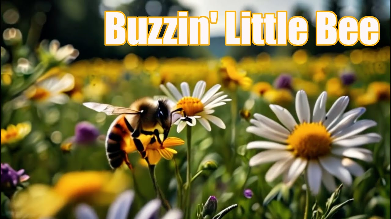 Children`s song - Buzzin' Little Bee - YouTube