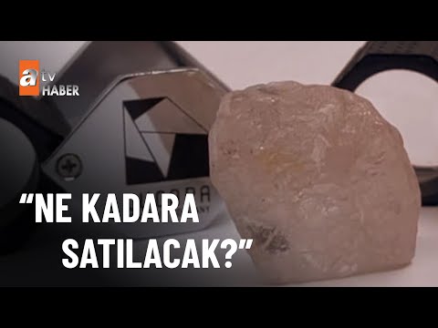 300 yılın en büyük pembe elması - atv Haber 29 Temmuz 2022