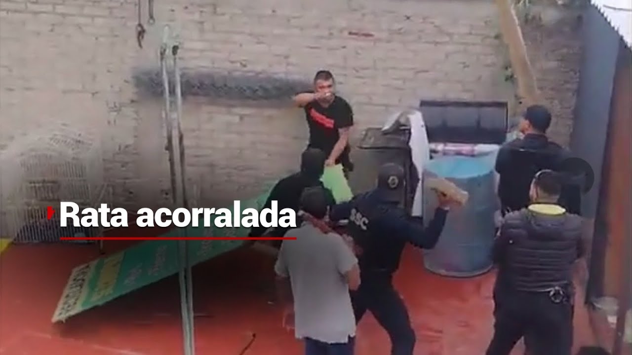 RATA SIN SALIDA| Asaltante es acorralado en el techo de una casa ...