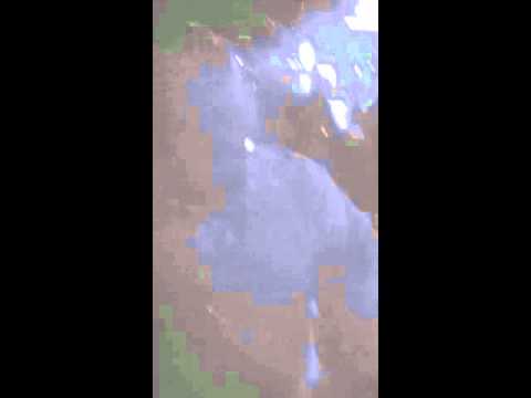 How to punch a moose... - YouTube