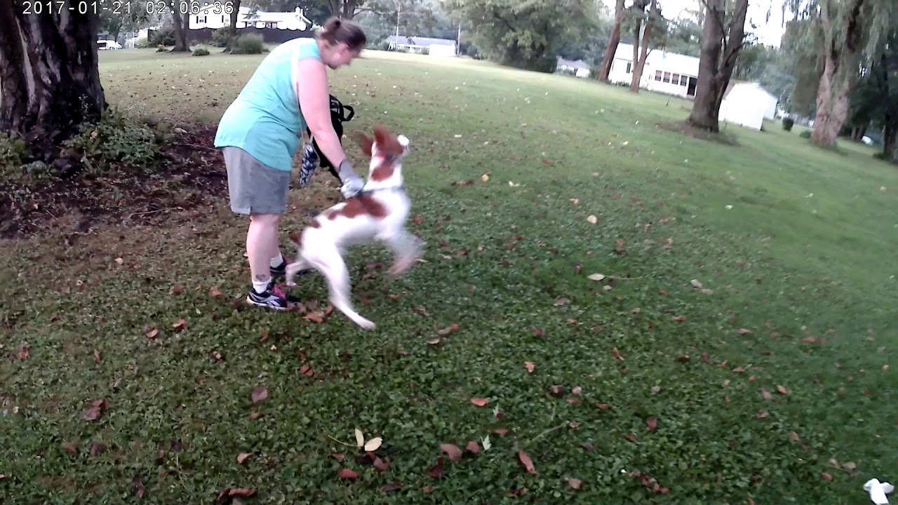 L shape game # 3 - YouTube