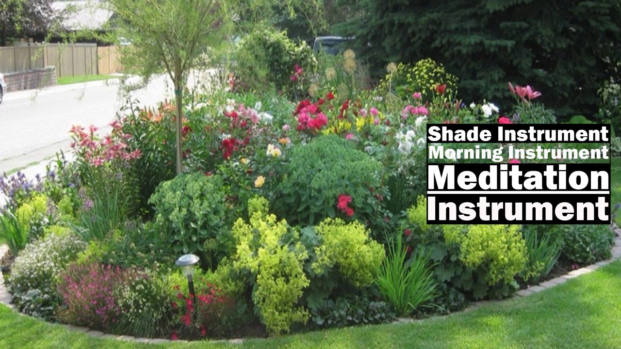 Relaxing Instrument Morning Instrument Meditation Instrument Rain ...