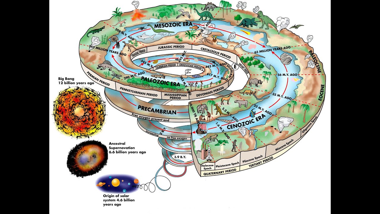 Evolutionary/Geological Time Scale || Evolutionary Timescale Kya Hai? # ...