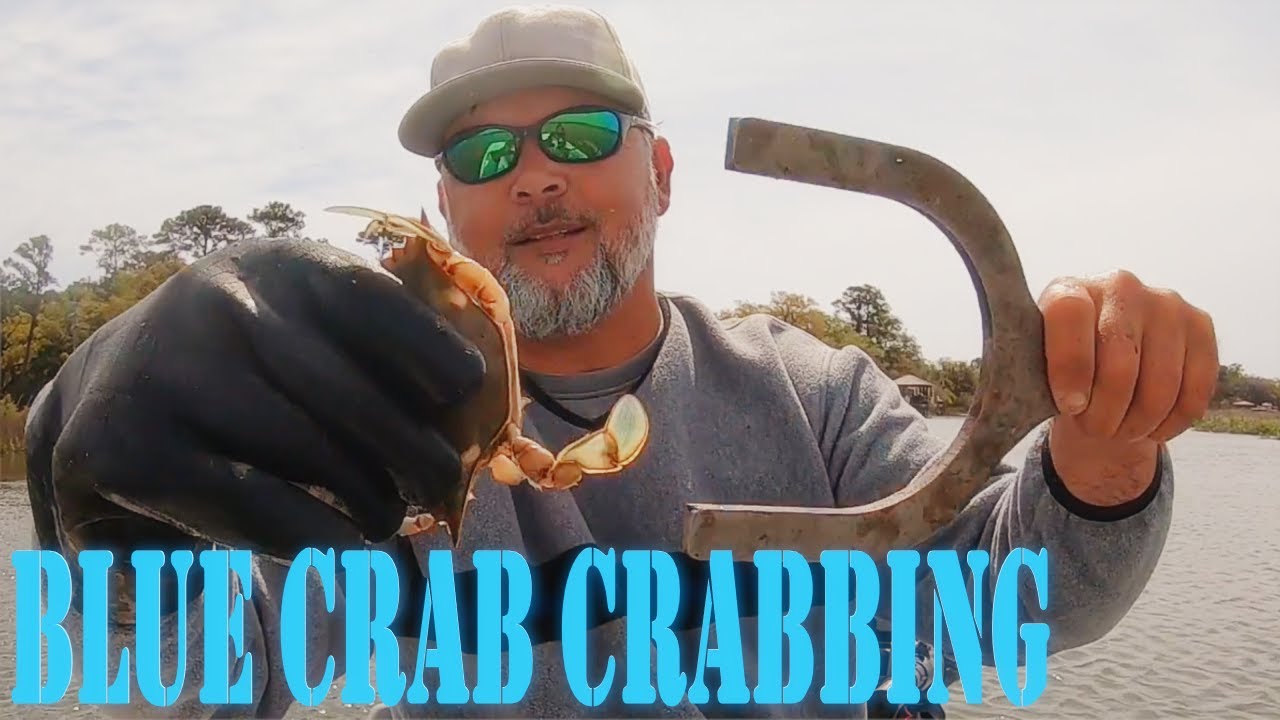 Catching BLUE CRABS in Crab Pots/Let's see what's in our traps - YouTube