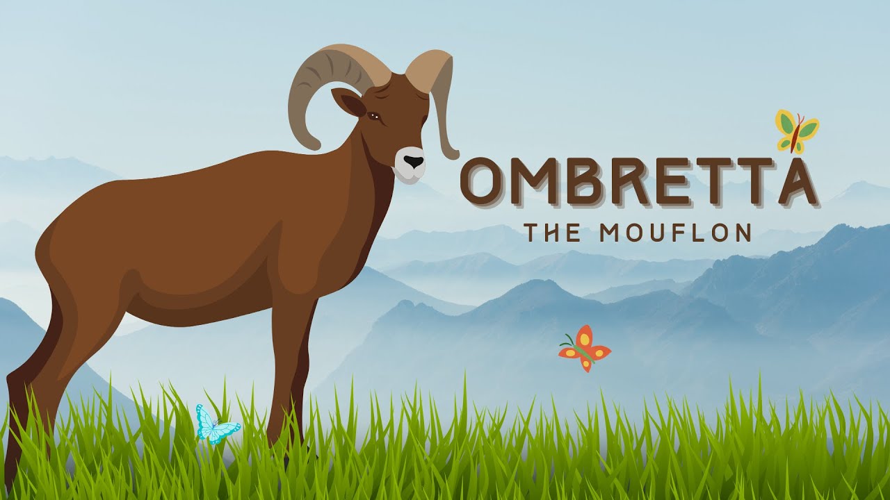 CLONING | Ombretta The Mouflon - YouTube