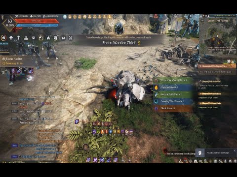 Black Desert Online Boss Fadus Warrior Chief knowledge (S) - YouTube