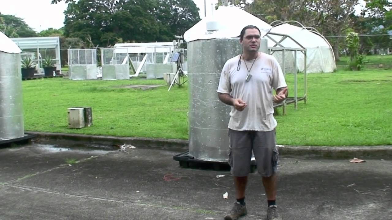 Tree water use monitoring - YouTube