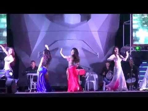 2014 Wold BellyDance Competition (korea) entry7 DongHee Hong 2등