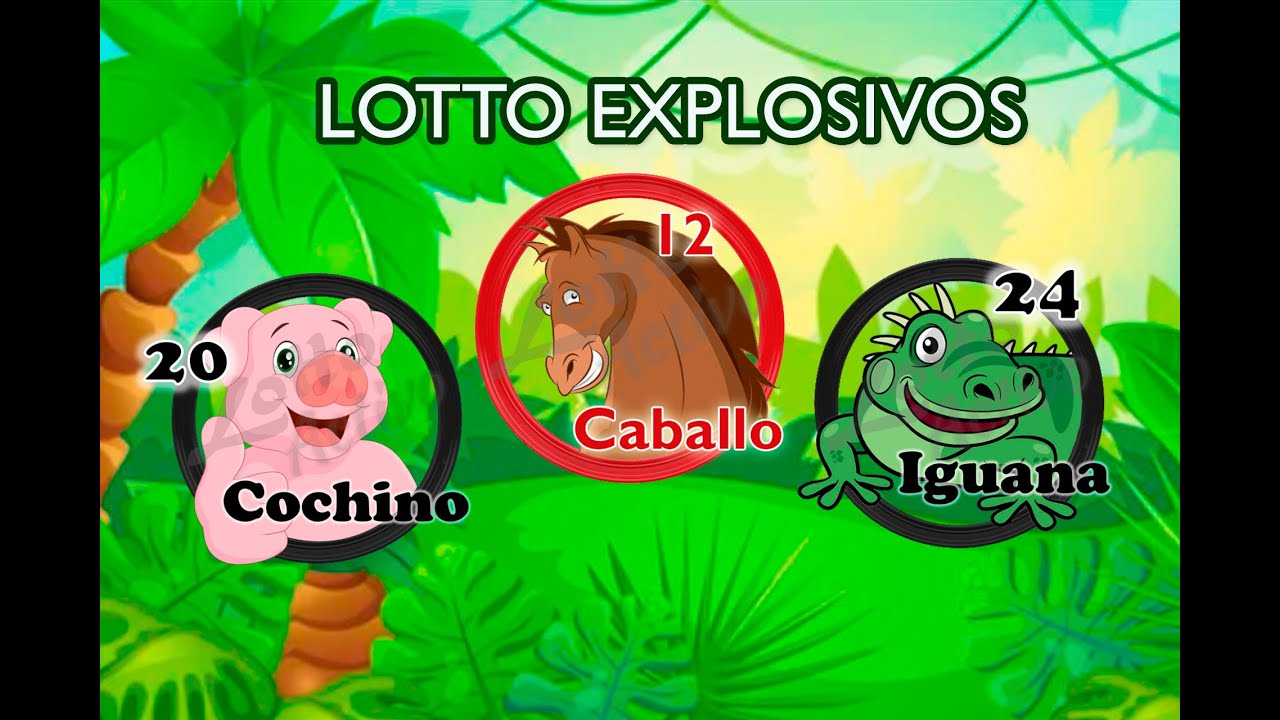 SABADO 20-07-2024 DATOS LOTTO ACTIVO, GRANJITA, GUACHARO, SELVA PLUS ...