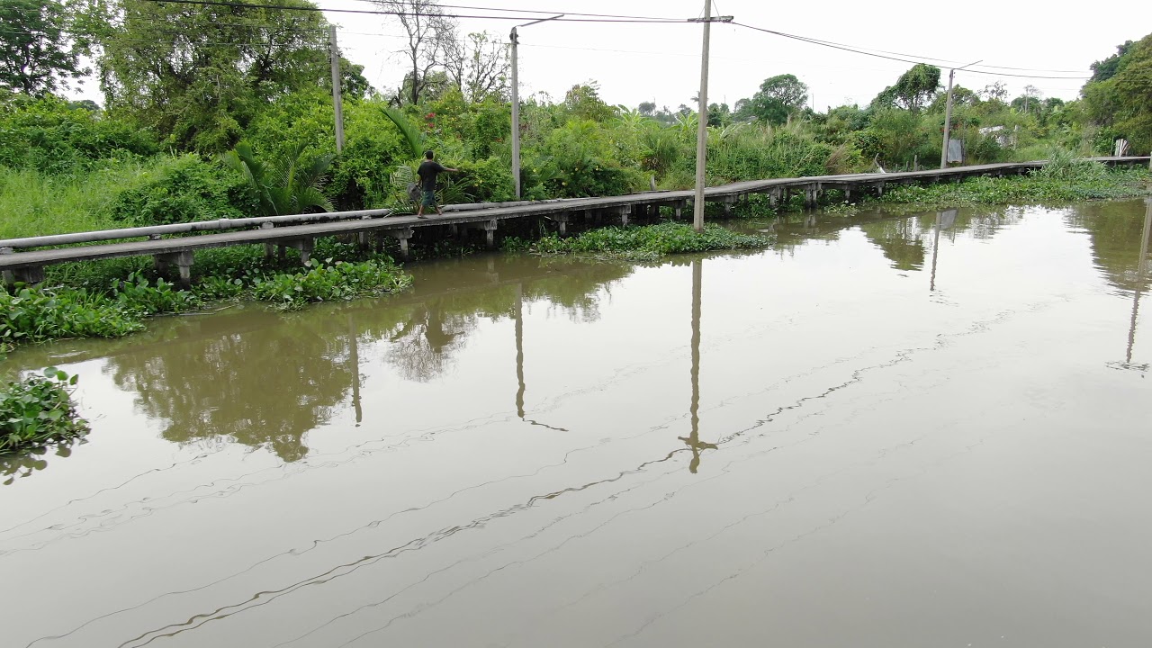 Thai irrigation system - YouTube