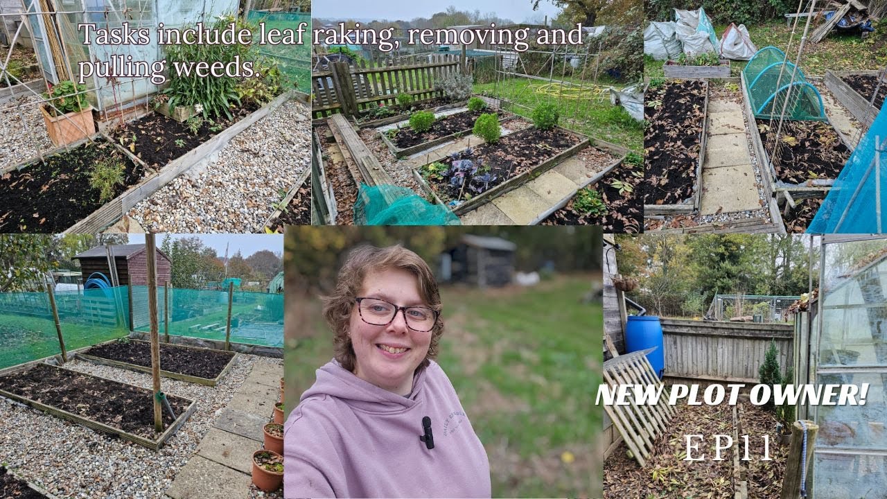 Basic Tidy Up Of Plot 34, New Plot Owner of Plot 33, And New Plans / S ...