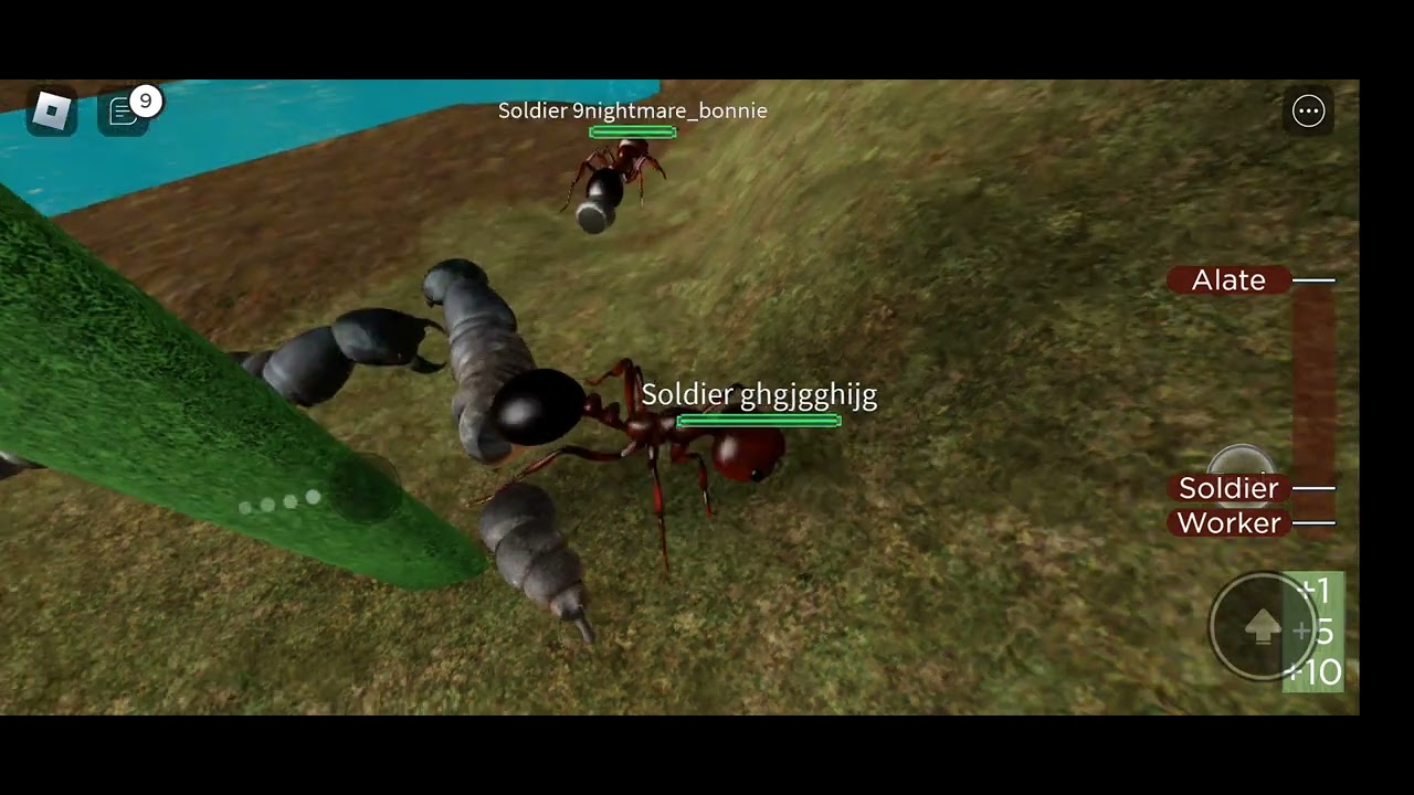 how to fly in ant's Life for free - YouTube