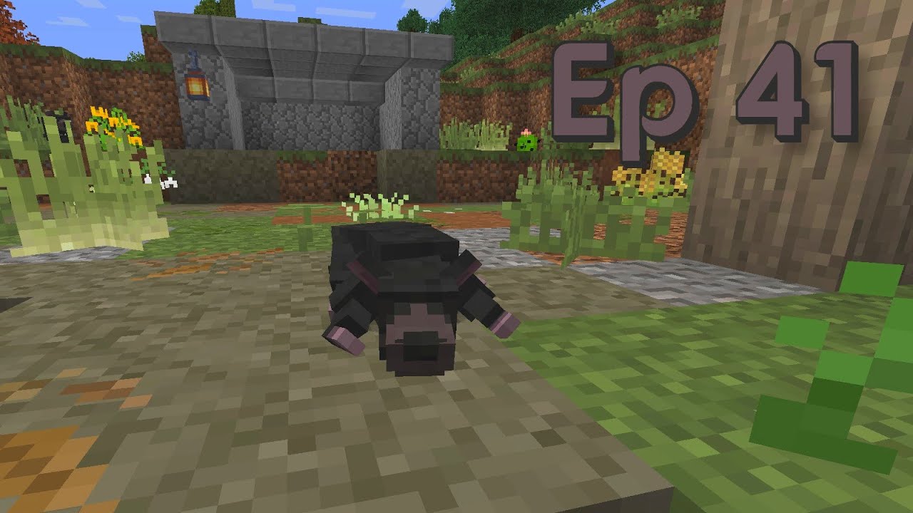 Building My Dream Zoo in Minecraft Ep 41 | Tired Tasmanian Devils - YouTube