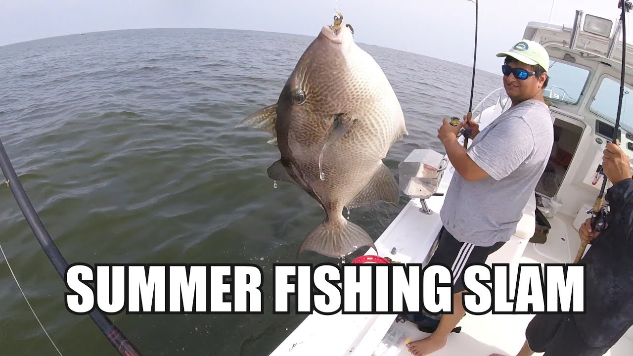 MEAT FISHING THE ROCKS! Triggerfish, Tautog, Sea Bass, Summer Flounder ...