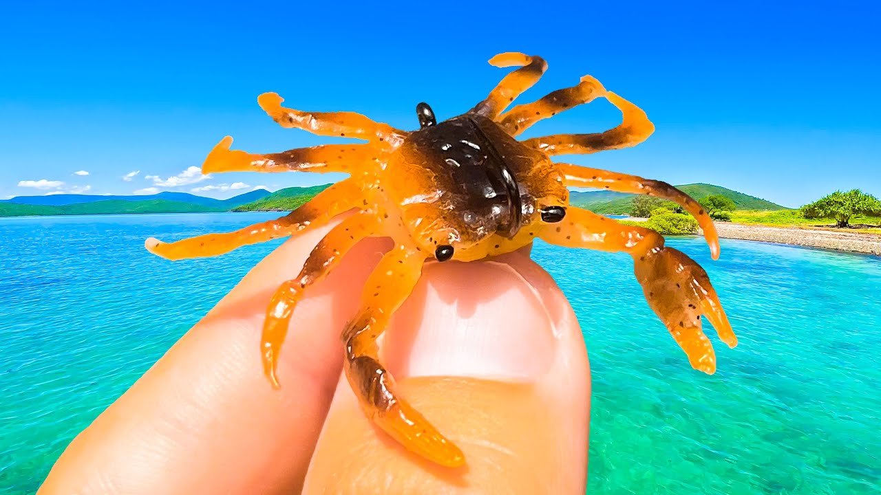 MICRO Crab Lure in ULTRA CLEAR Shallow Water. - YouTube