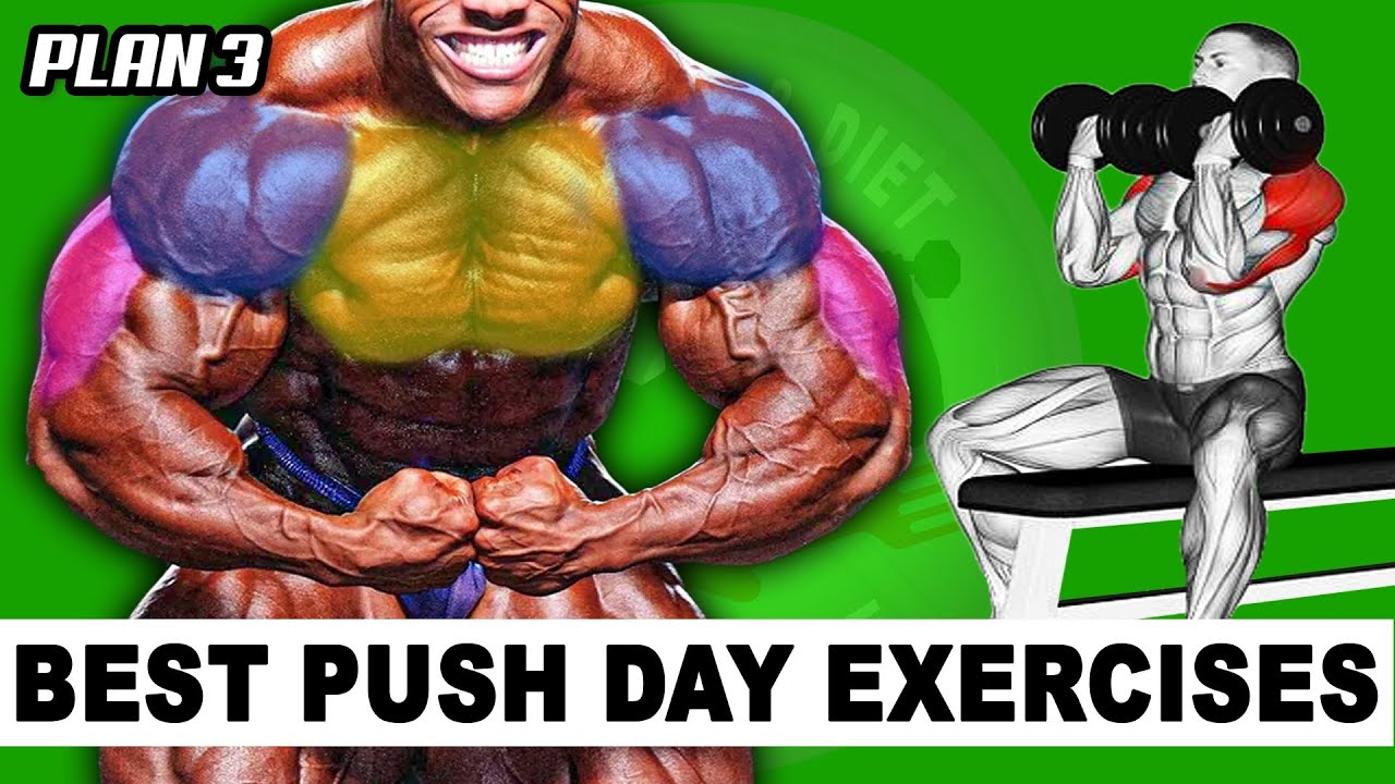 Best Push Day Exercise Routine To Build Muscles - Chest, Shoulders And ...