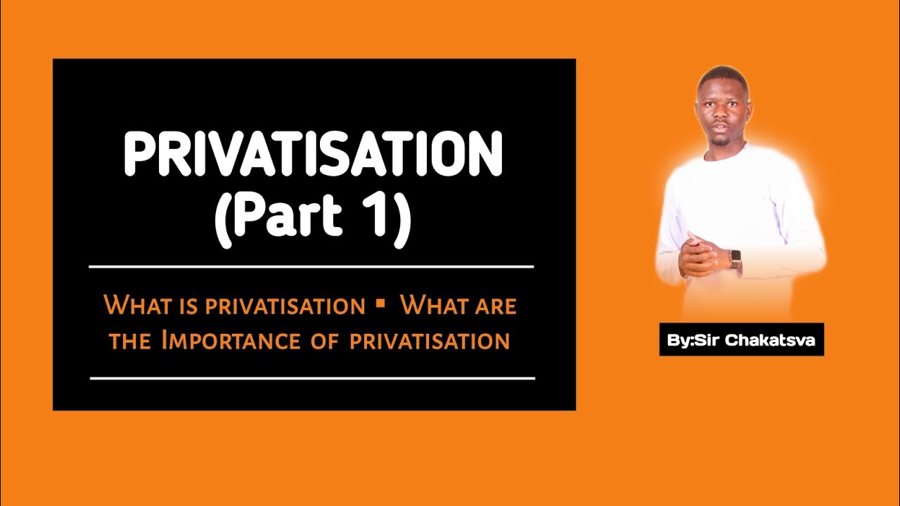 Privatisation (Part 1) |DEFINITION |IMPORTANCE |Well explained in ...