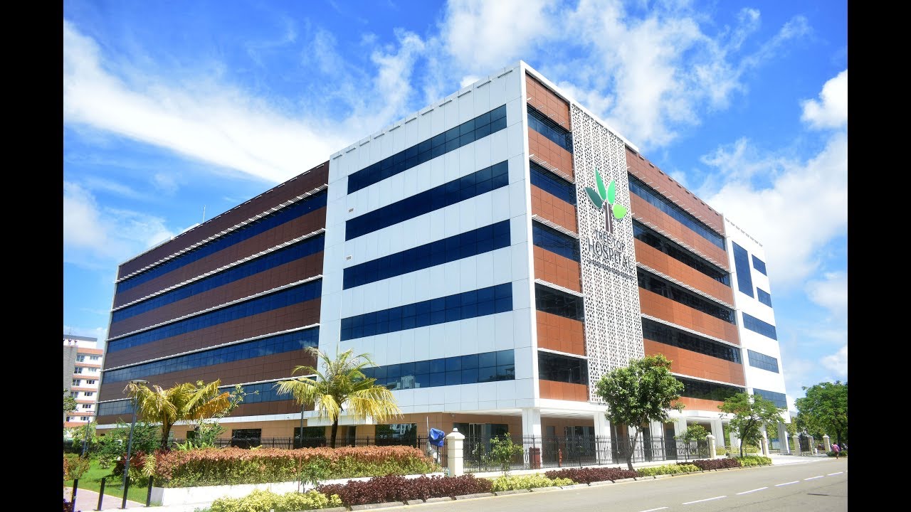 Tree Top Hospital: Excellence in Healthcare - YouTube