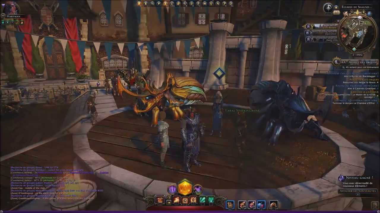 Neverwinter Online - Module 2 - Build du Magicien Manipulateur 4/4 : Les Compagnons - YouTube