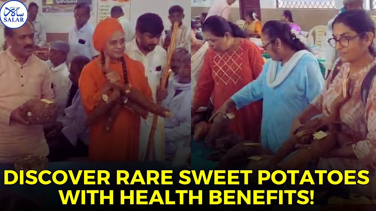 Rare Sweet Potato Varieties Showcase Health Benefits and Innovation in ...