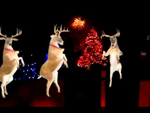 Deer dancing on Texas St. - YouTube