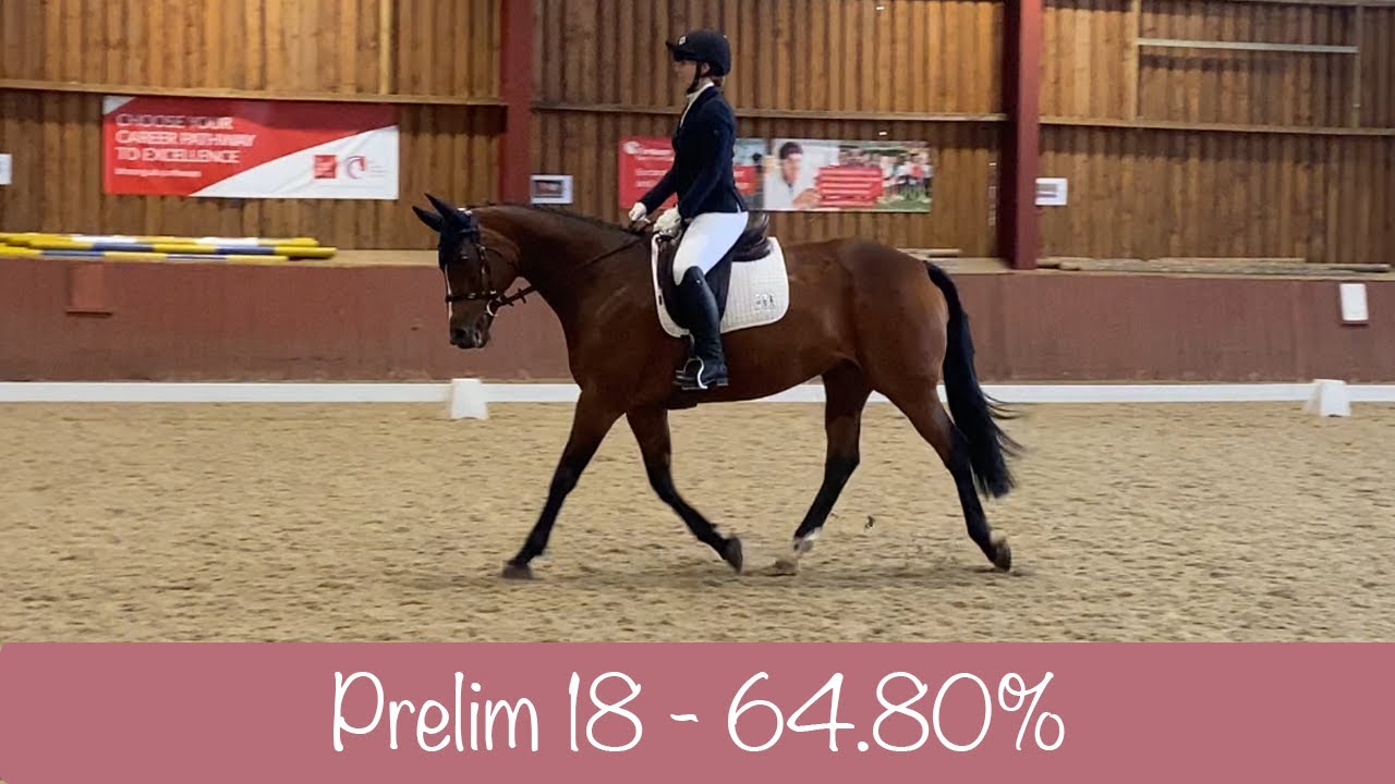 Unaffiliated BD Prelim 18 Dressage Test - 64.80% - YouTube
