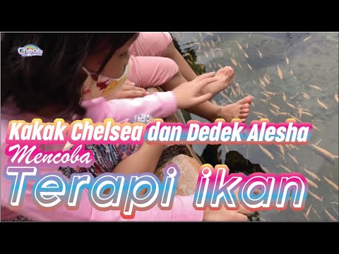 Terapi Ikan | Geli sekali rasanya | Part 2 - YouTube