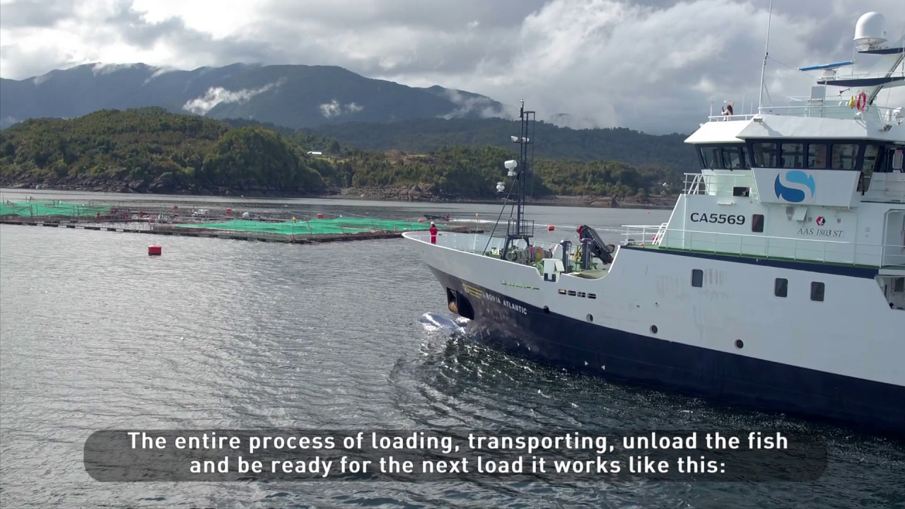 SOLVTRANS CHILE S.A. - YouTube