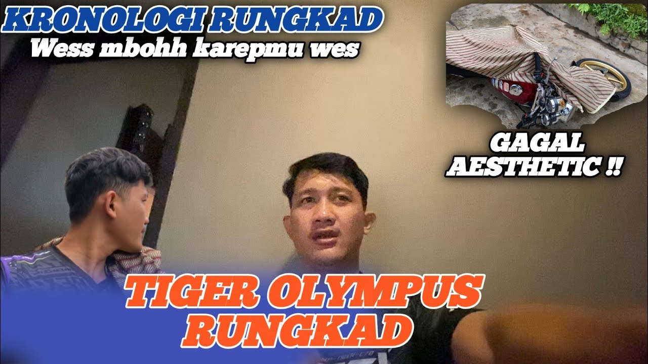 HARI APES GAK ADA DIKALENDER ‼️KRONOLOGI TIGER OLYMPUS RUNGKAD ‼️# ...