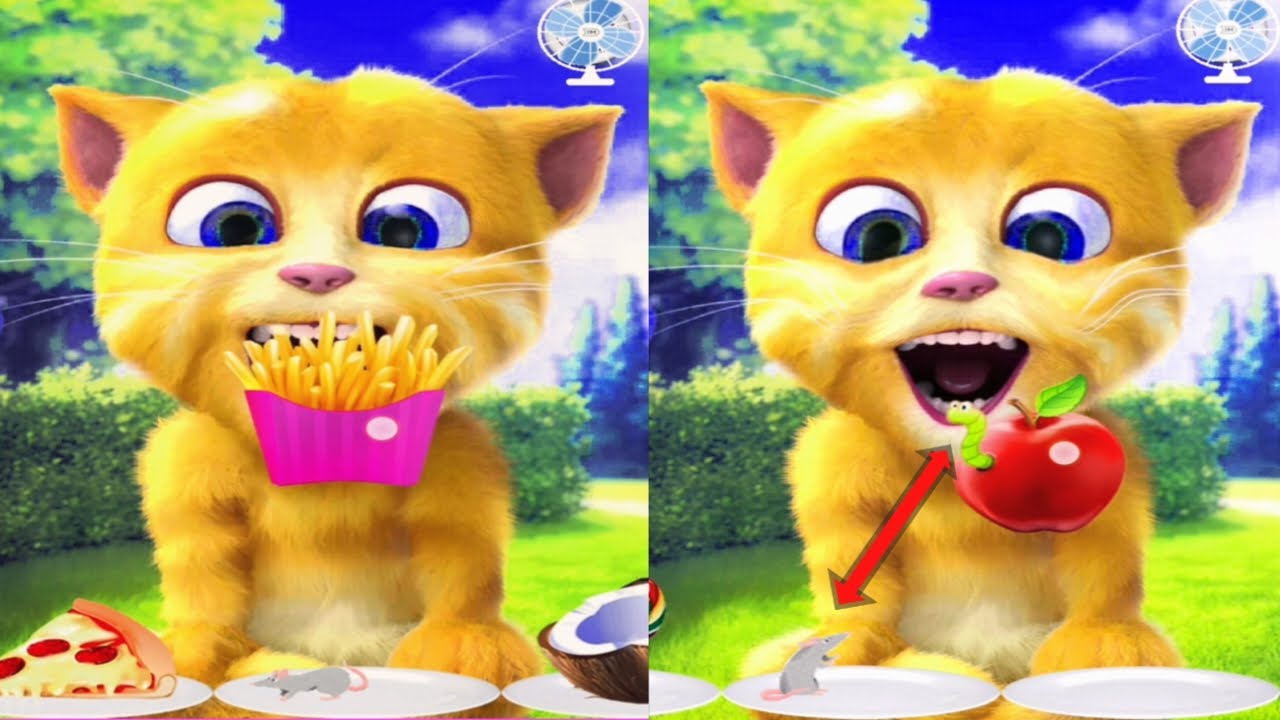 talking ginger 2 🍒🍕🥦🍅🍎 | talking ginger eating | talking ginger eat ...