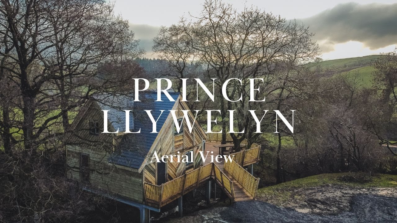 Drone Footage of the COOLEST Treehouses in Wales 🌳 | Squirrels Nest ...