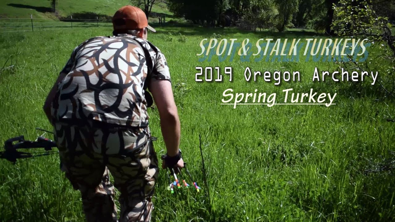 I SHOT MY FIRST TURKEY | 2019 Oregon Turkey Archery Hunting - YouTube