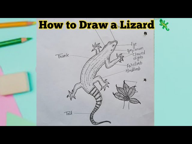 Wall Lizard Diagram Metal Lizard Gecko Wall Art Decor Green Metal