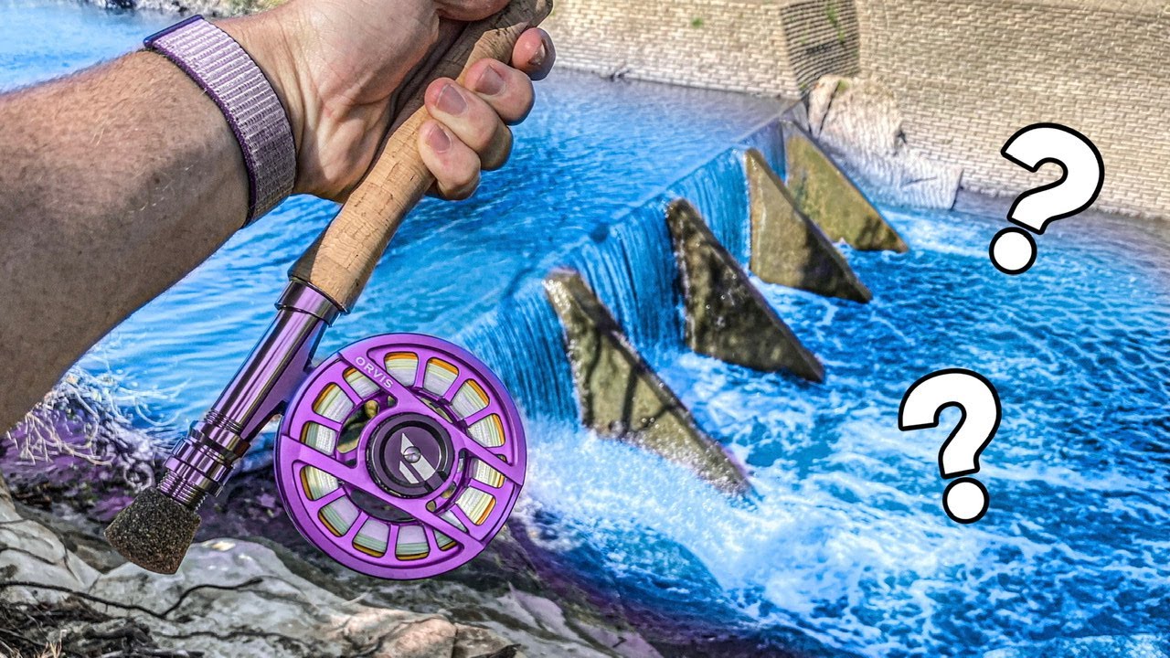The Untapped Gold Mine Of FLY FISHING That Virtually No One Knows About ...