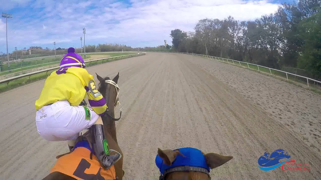 Horse Race with Go Pro Cap on Hipódromo Camarero PR - YouTube