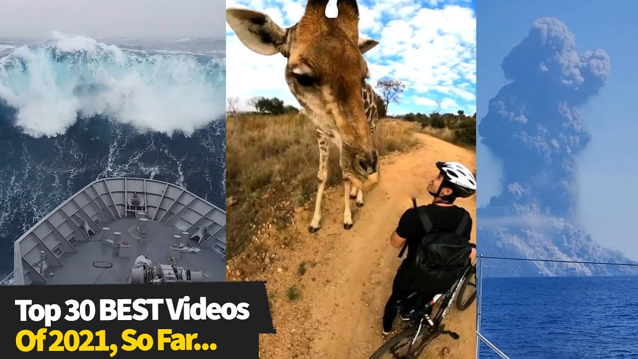 Top 30 BEST Moments Of 2021, So Far | Best Of The Year - YouTube